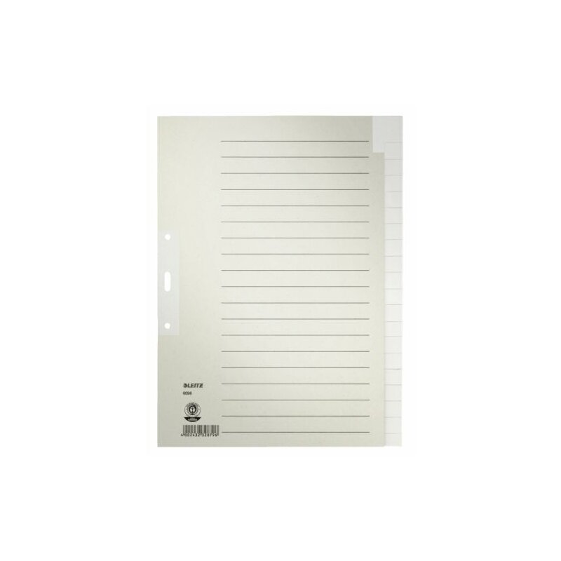 Leitz Papierregister Blanko, A4, Papier, 20 Blatt, grau